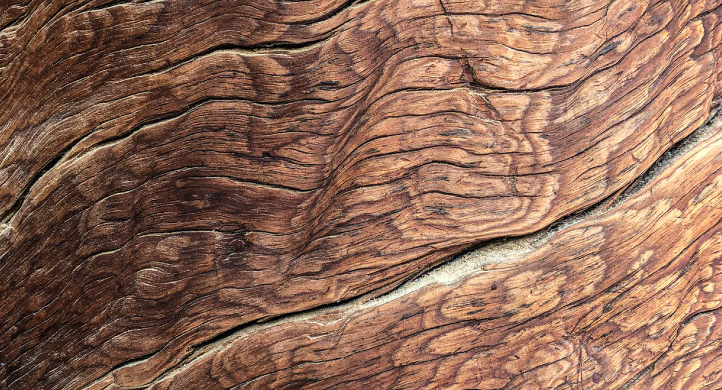 Holz • Gentner & Köhler